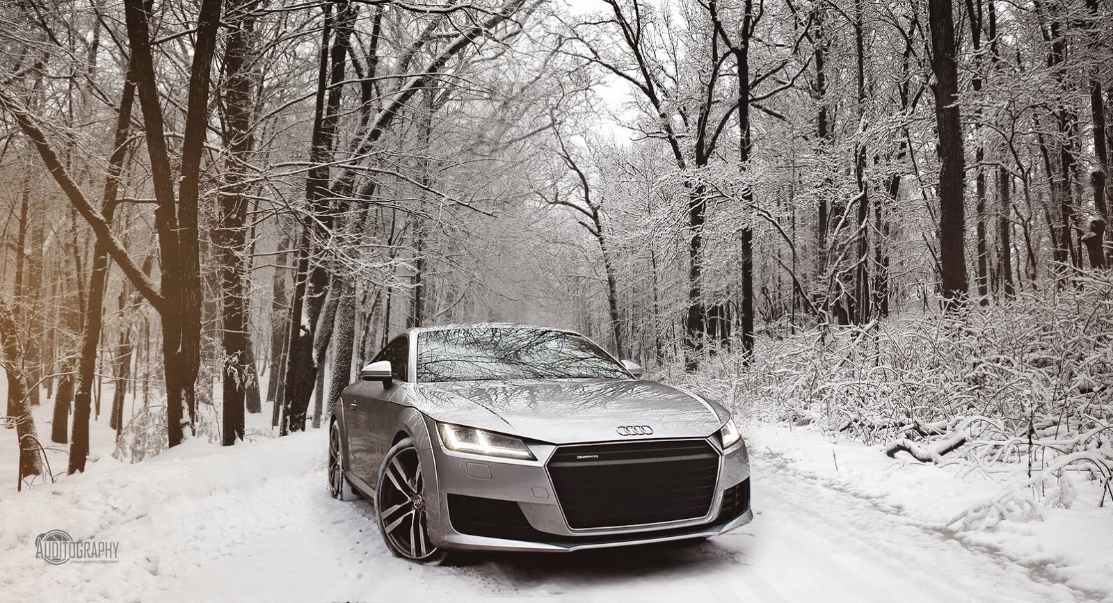 2015 Audi TT Is The Perfect Snow Angel | Carscoops
