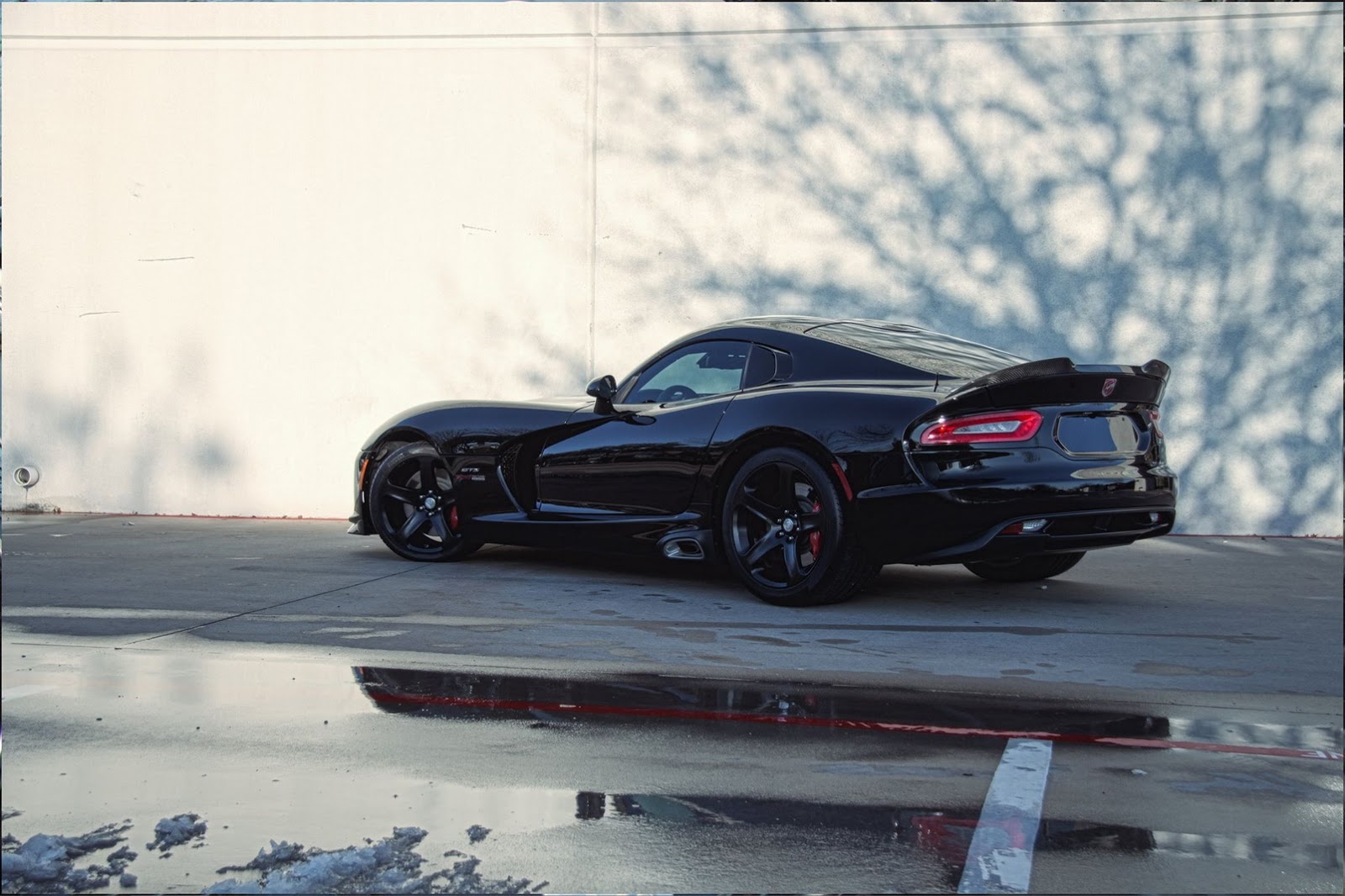 Murdered Out Viper