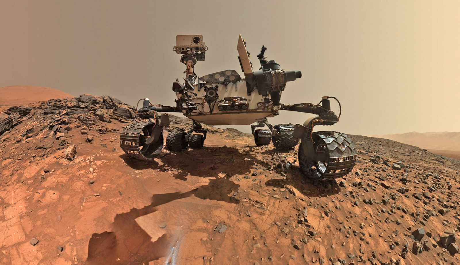 Mars Rover Selfie