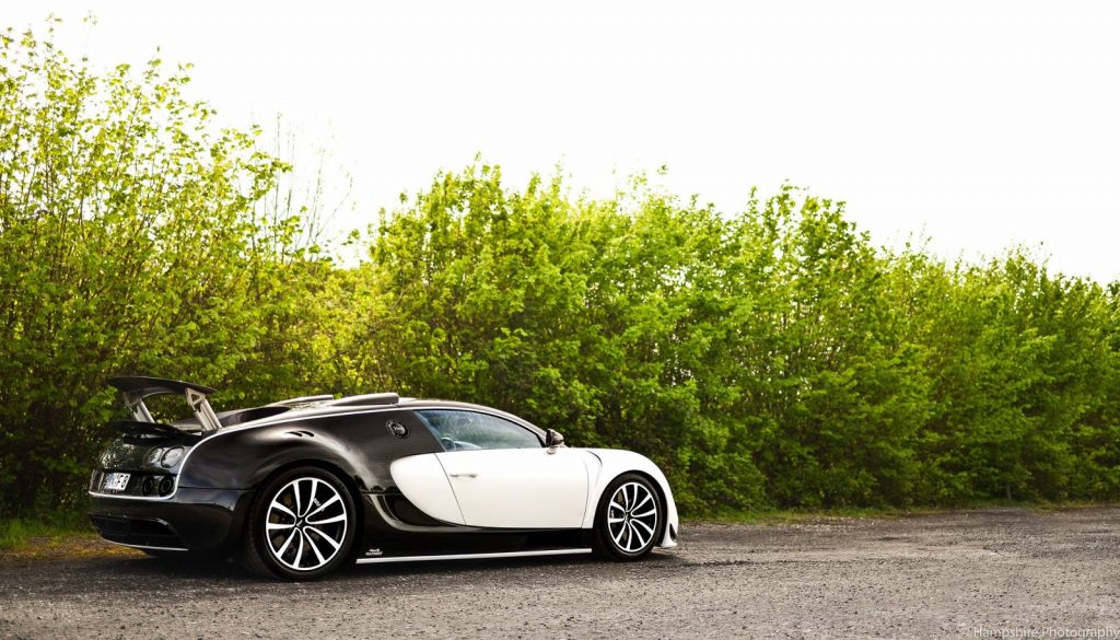 Panda-Colored Bugatti Veyron Mansory Vivere Is One Of Two | Carscoops