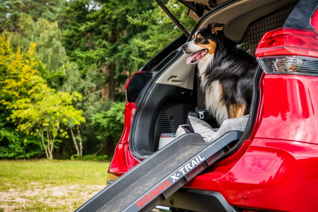 Nissan X-Trail Becomes Dog-Friendly With New ‘Paw Pack’ | Carscoops
