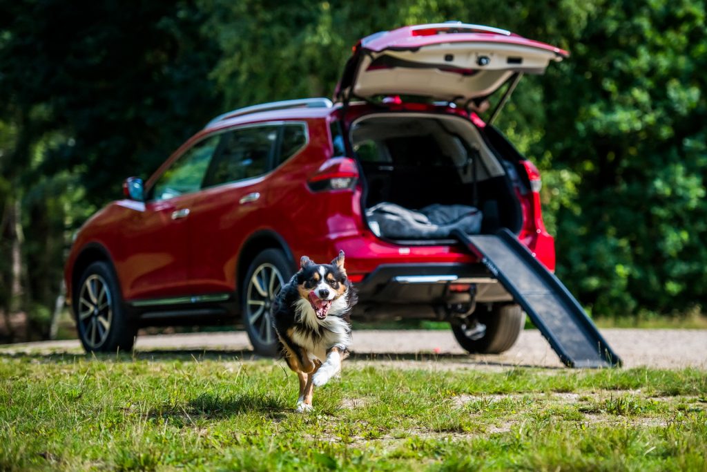 Nissan X-Trail Becomes Dog-Friendly With New ‘Paw Pack’ | Carscoops