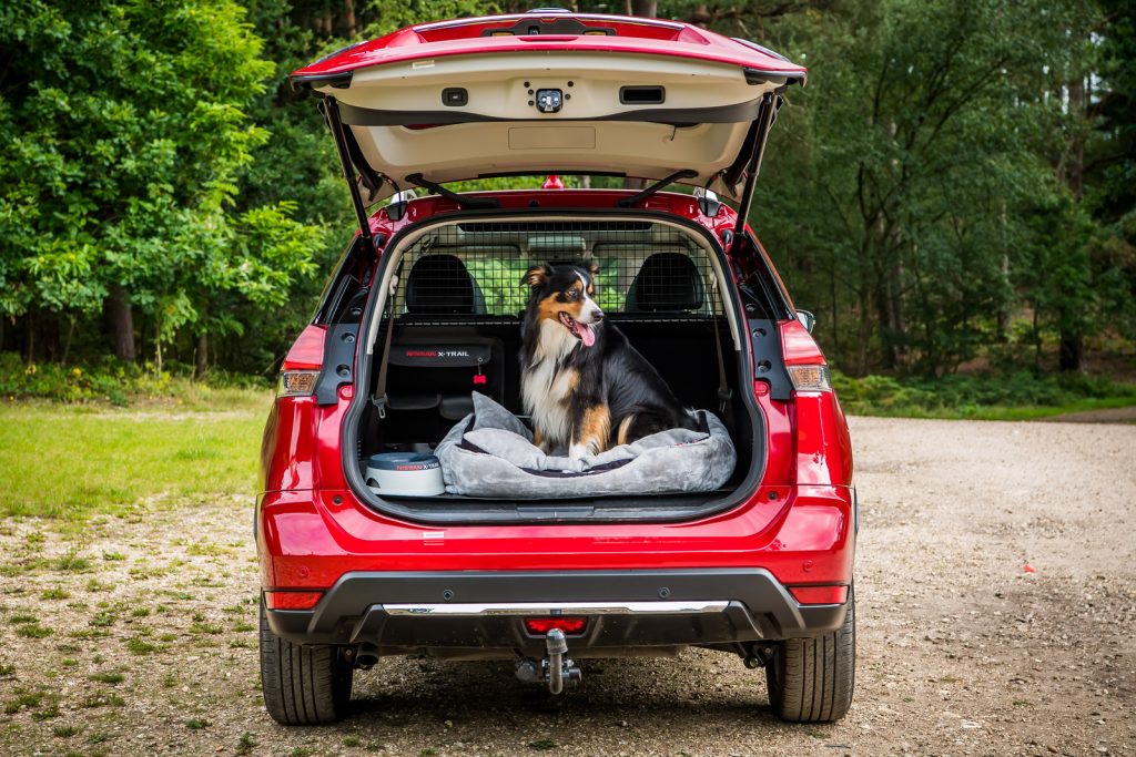 Nissan X-Trail Becomes Dog-Friendly With New ‘Paw Pack’ | Carscoops