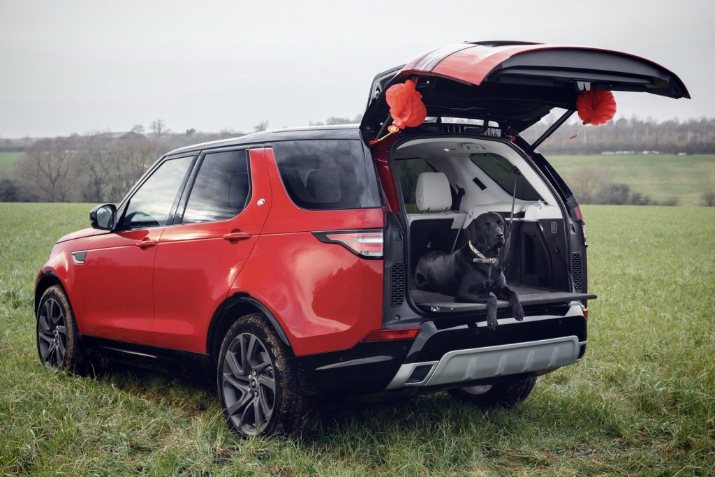 Make Your Land Rover Dog-Friendly With Original Pet Packs Accessories ...