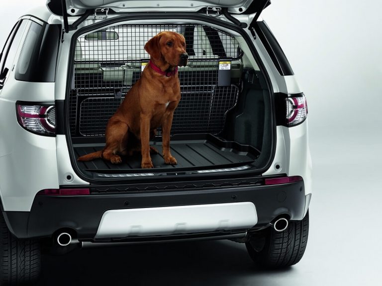 Make Your Land Rover Dog-Friendly With Original Pet Packs Accessories ...