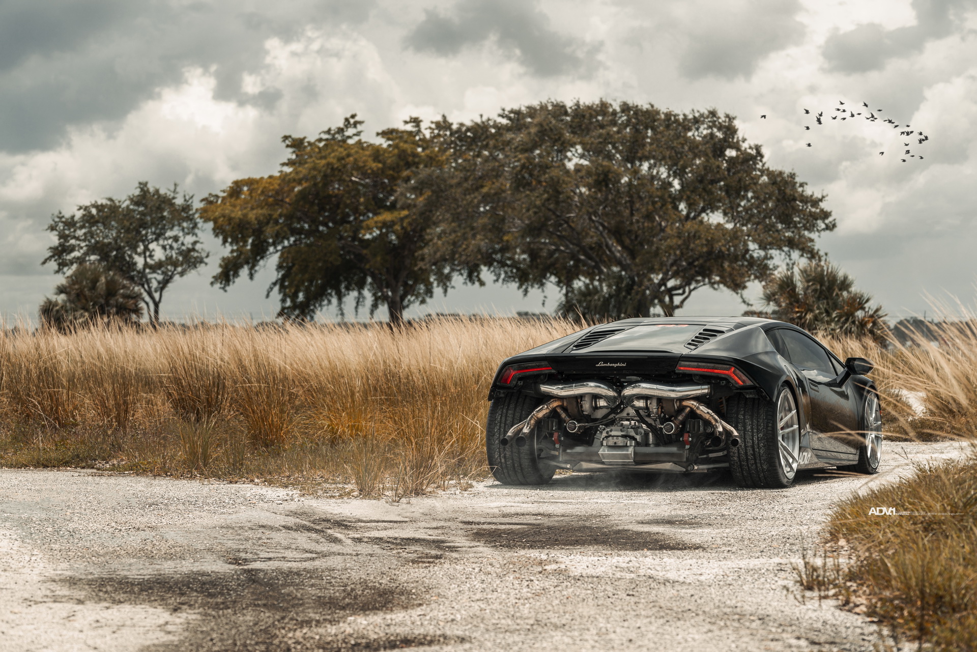 Bumper-Less Lamborghini Huracan Displays Its 850 HP, Twin-Turbo Madness ...