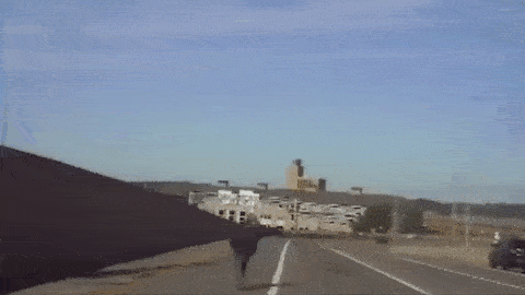 Patrol Car Runs Down Murder Suspect To Stop Him From Fleeing | Carscoops