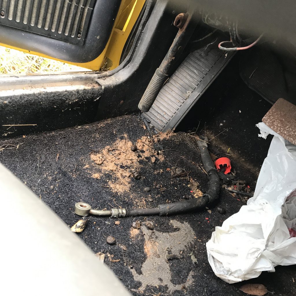 How Could ANYONE Let 11 Classic Ferraris To Die On A Field? | Carscoops