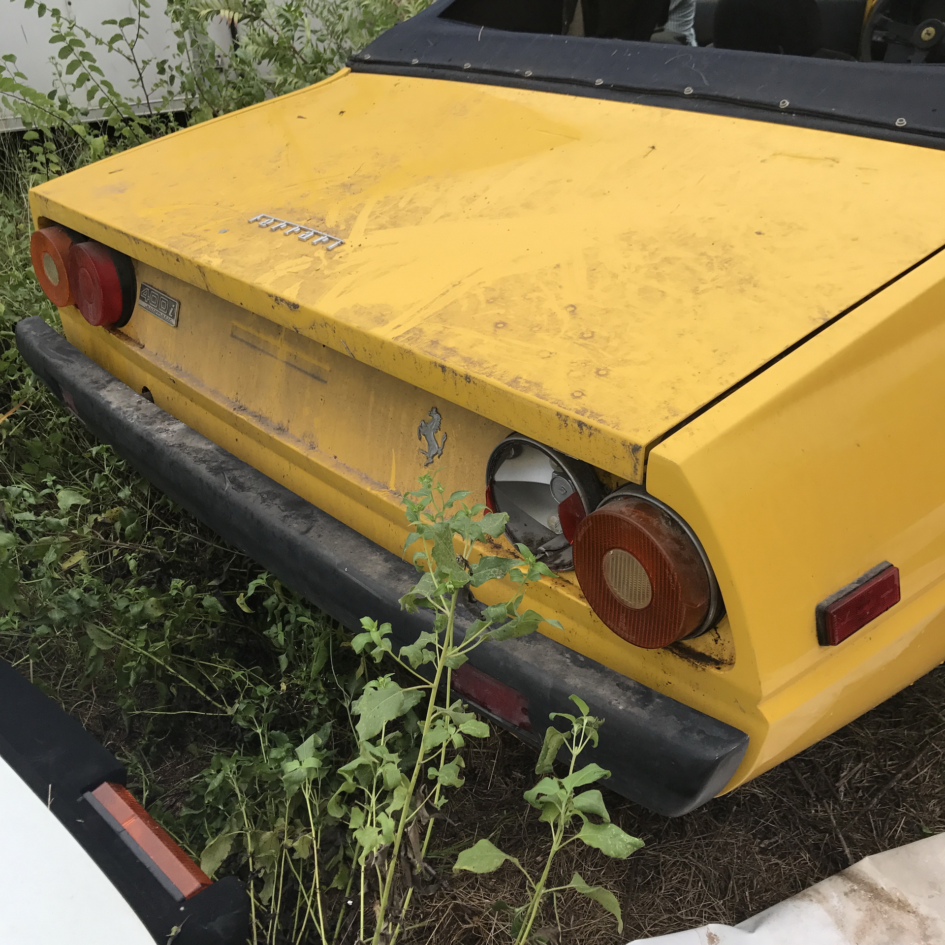 How Could ANYONE Let 11 Classic Ferraris To Die On A Field? | Carscoops