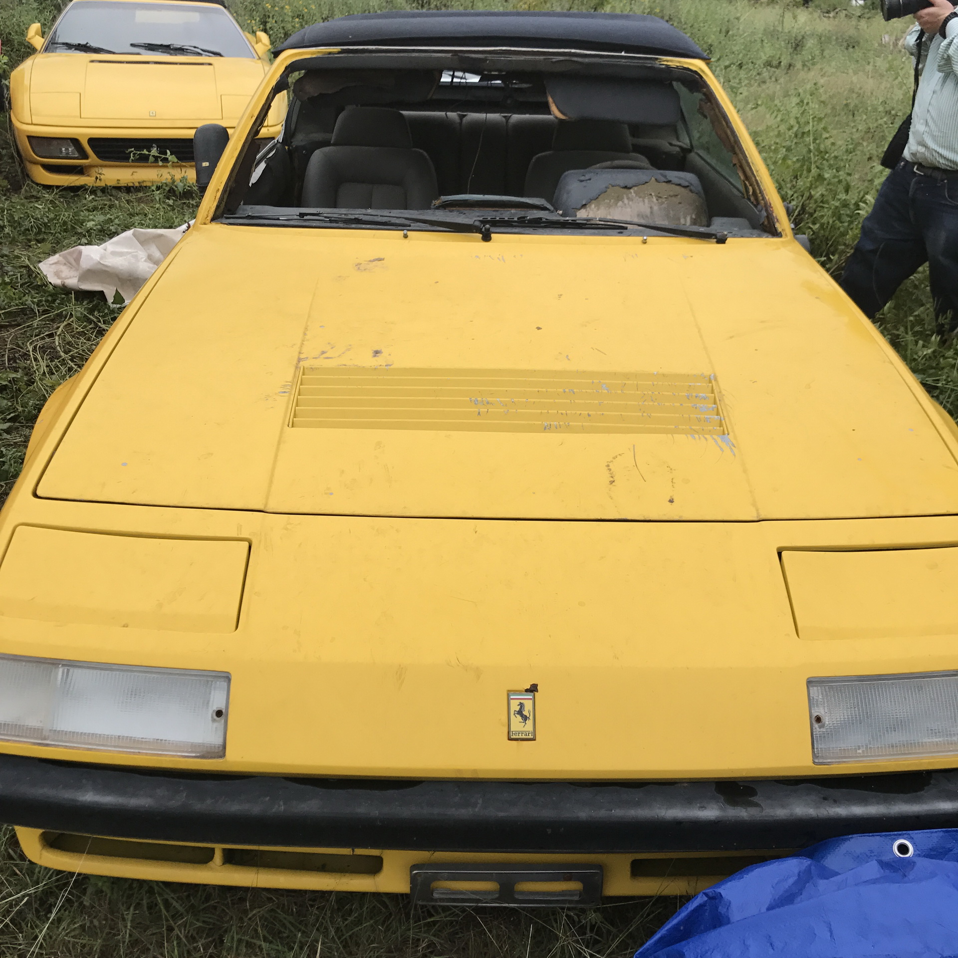 How Could ANYONE Let 11 Classic Ferraris To Die On A Field? | Carscoops