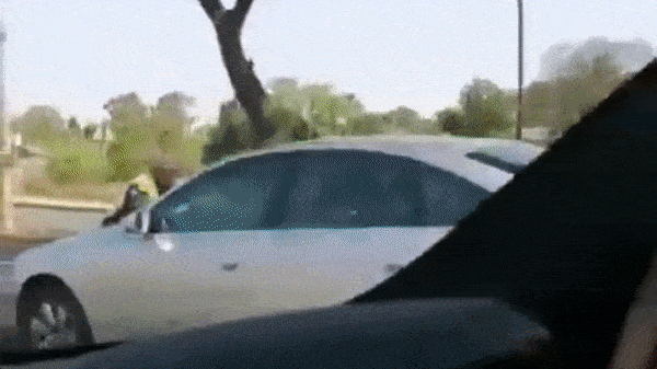 South African Driver Tries To Flee With Police Officer On Her Hood To ...