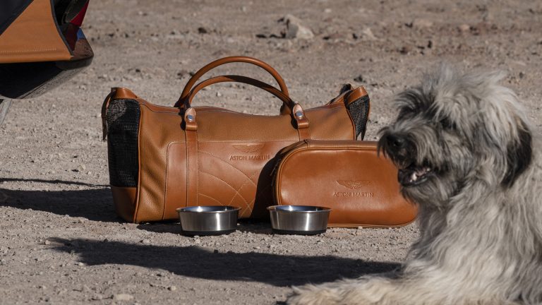 Aston Martin DBX Gets A Wide Range Of Official Accessories, Gun Cabinet ...