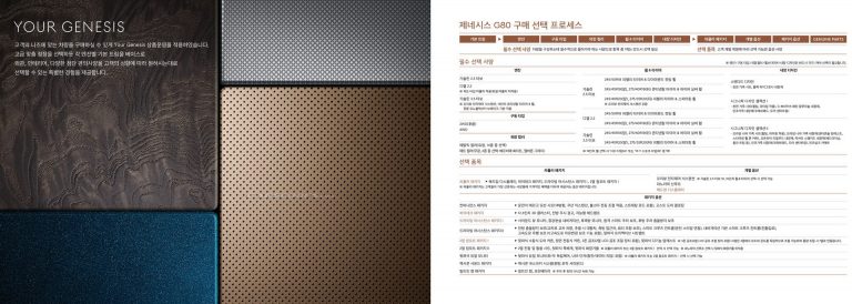 Delve Into All Things 2021 Genesis G80 With New Photos, KDM Brochure ...