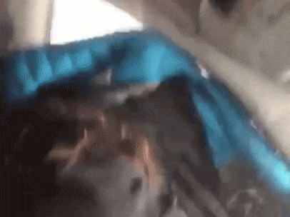 Alaska Driver Forgets Her Window Is Stuck Open, Goes Through Car Wash ...