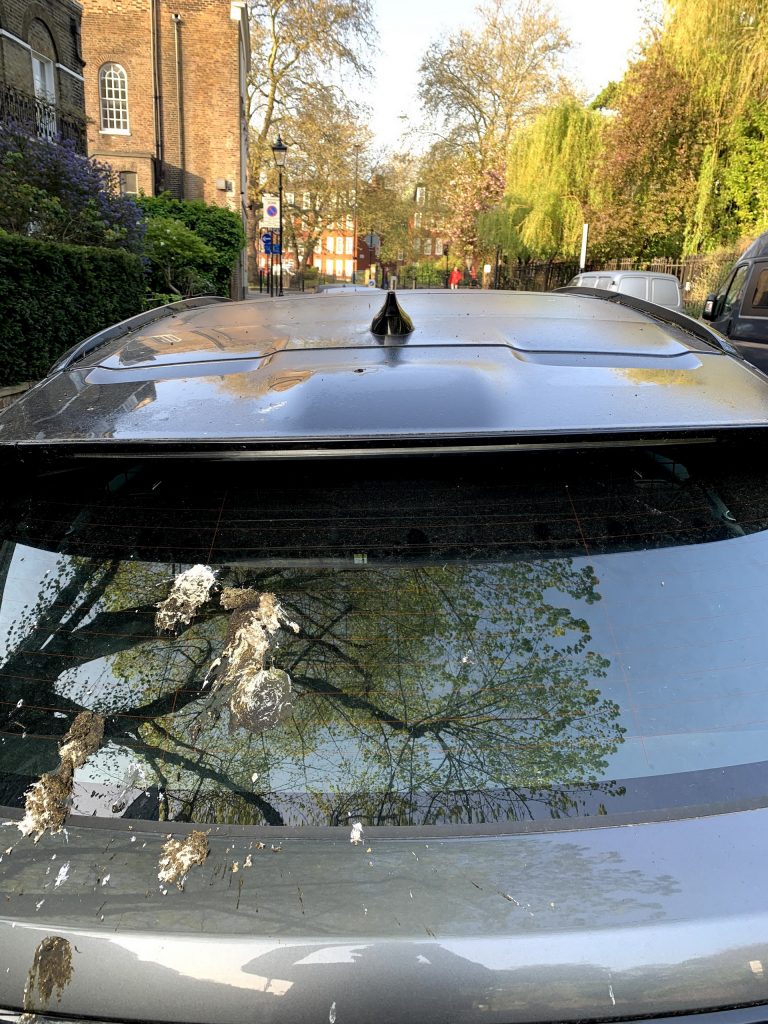 Did You Know Ford Makes Bird Poop In The Lab For The Sake Of Science ...