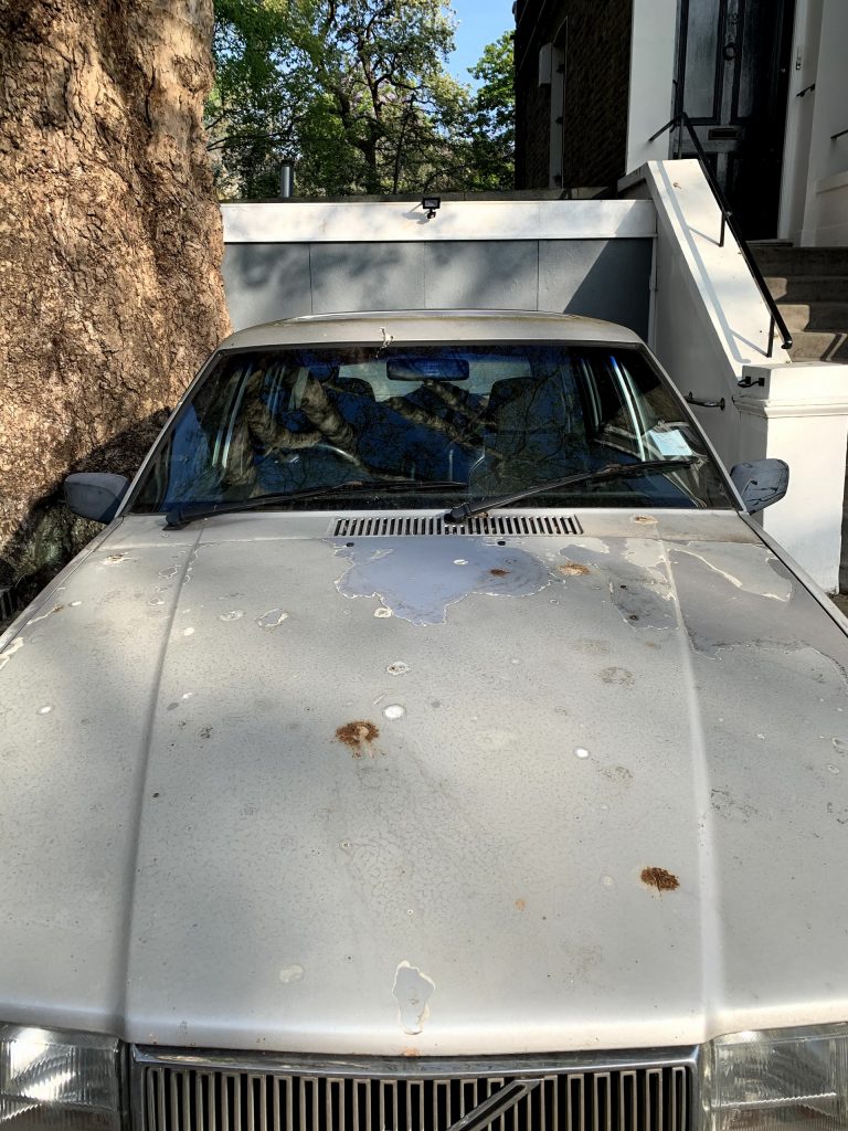 Did You Know Ford Makes Bird Poop In The Lab For The Sake Of Science ...