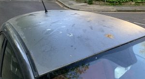 Did You Know Ford Makes Bird Poop In The Lab For The Sake Of Science ...