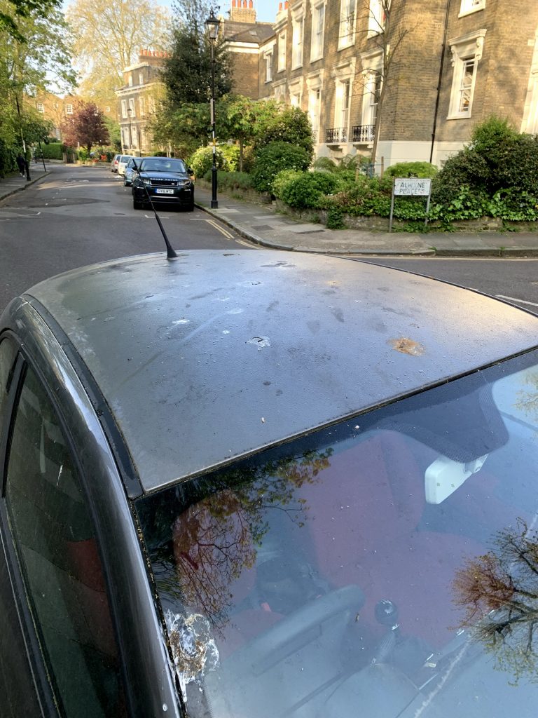 Did You Know Ford Makes Bird Poop In The Lab For The Sake Of Science ...