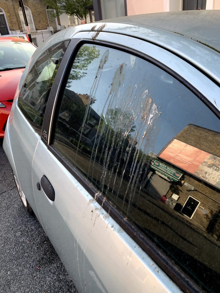Did You Know Ford Makes Bird Poop In The Lab For The Sake Of Science ...