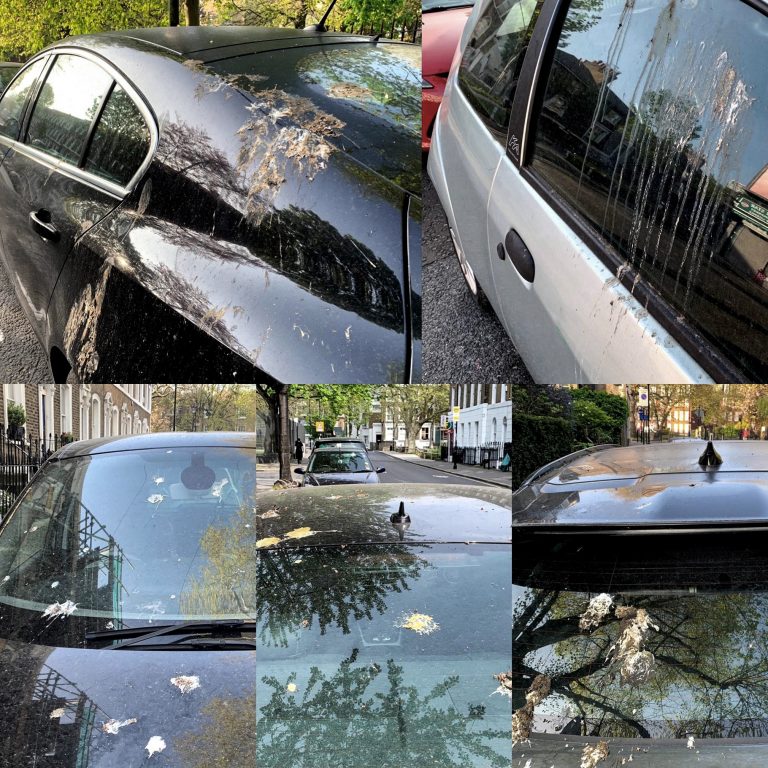 Did You Know Ford Makes Bird Poop In The Lab For The Sake Of Science ...
