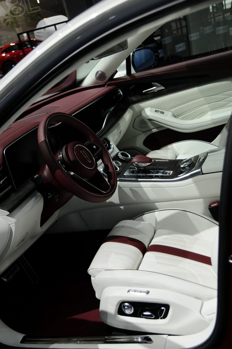 Hongqi H9+ Makes Official Debut As The People’s Republic Maybach ...