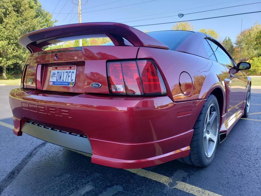 Would You Be Tempted By A Low-Mileage, Roush-Tuned 2003 Ford Mustang ...