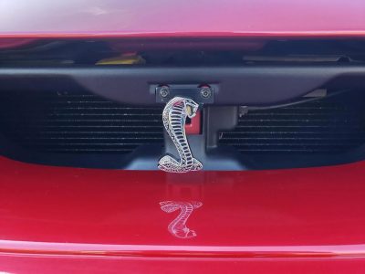 Would You Be Tempted By A Low-Mileage, Roush-Tuned 2003 Ford Mustang ...