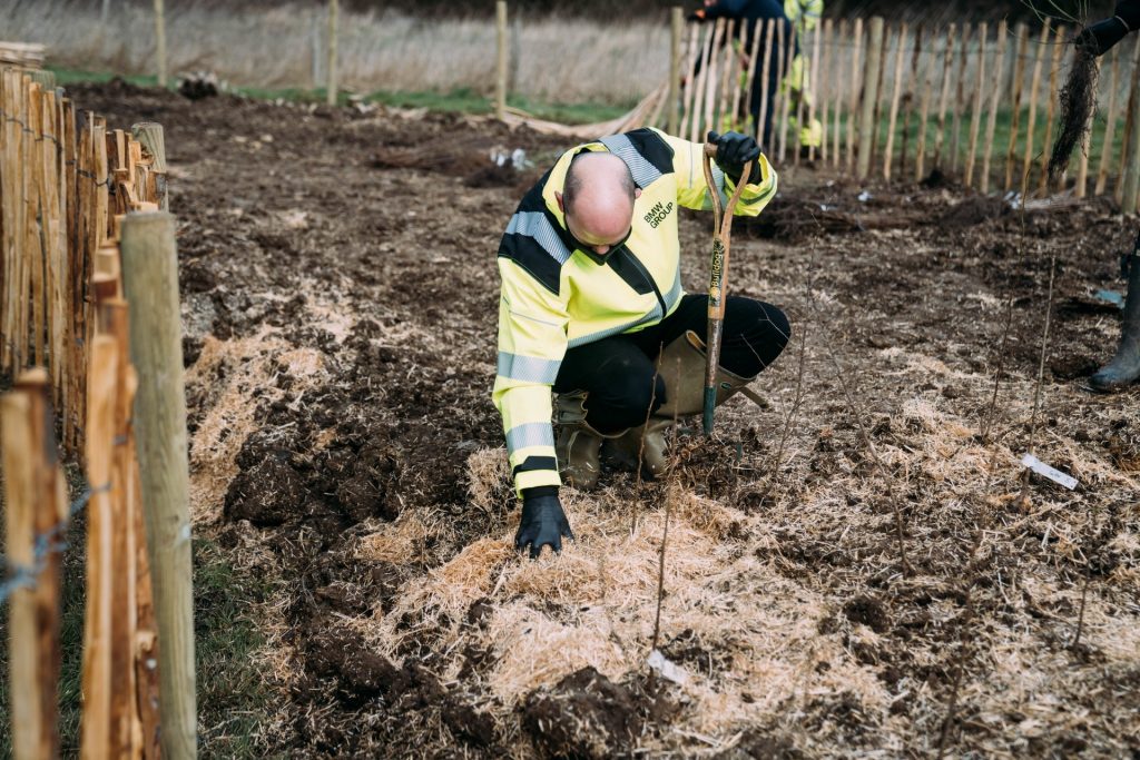 MINI Plants Mini Forest Near Its UK Plant In Swindon | Carscoops