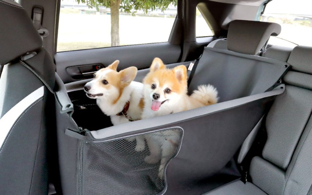 Honda Is Offering Paw-Decorated Accessories For Dog People’s Cars In ...