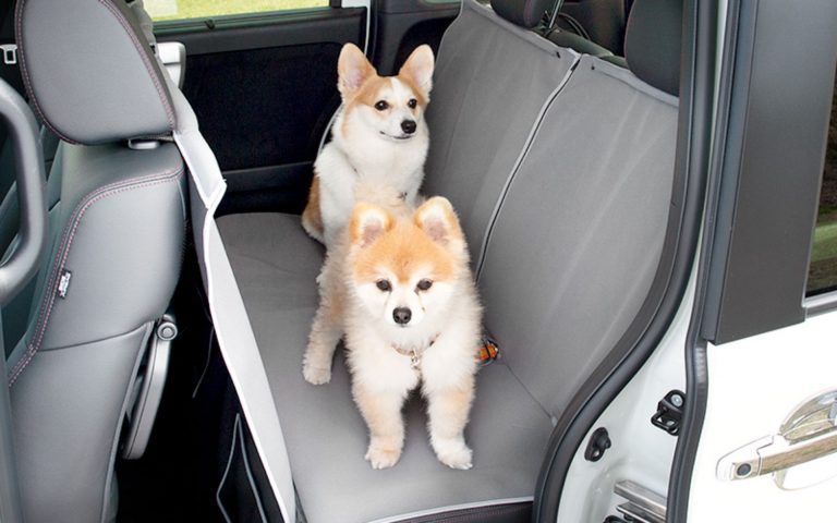 Honda Is Offering Paw-Decorated Accessories For Dog People’s Cars In ...