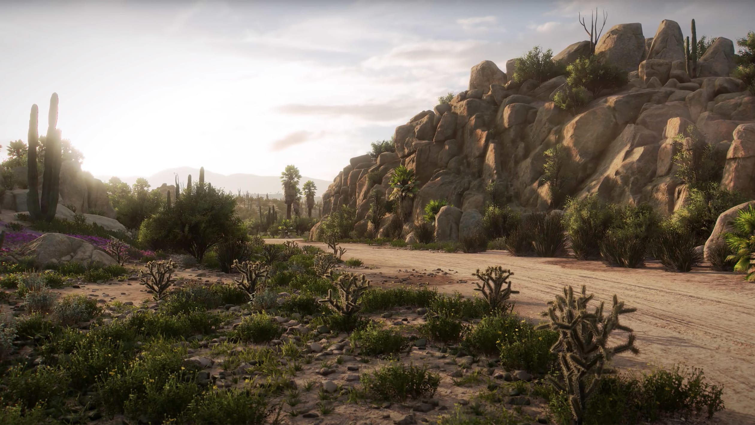 Full Map Revealed For Mexico-Based Forza Horizon 5 | Carscoops