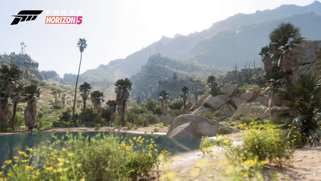 Full Map Revealed For Mexico-Based Forza Horizon 5 | Carscoops