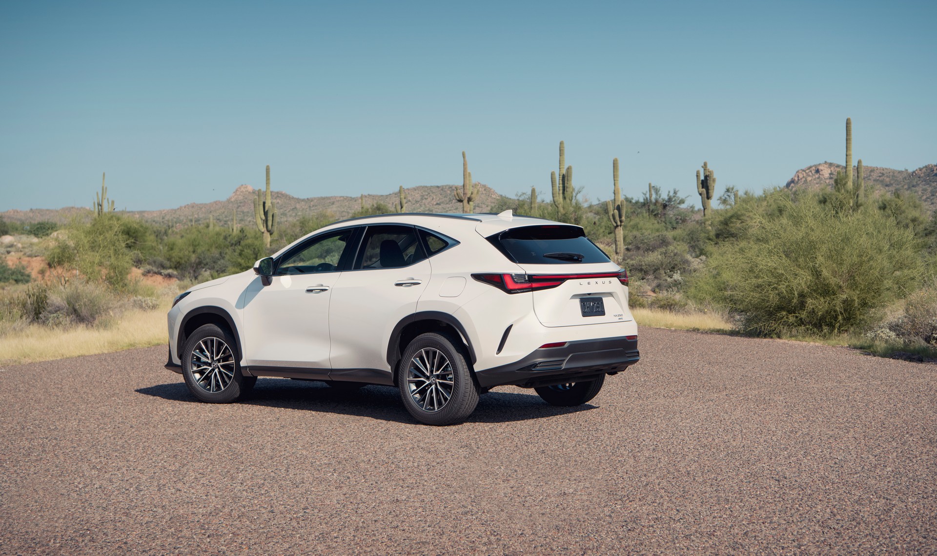 The New 2022 Lexus NX Starts At $37,950 While Plug-In Hybrid From ...