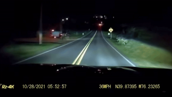 Mustang Amish Edition Performs A Surprisingly Good Drift | Carscoops