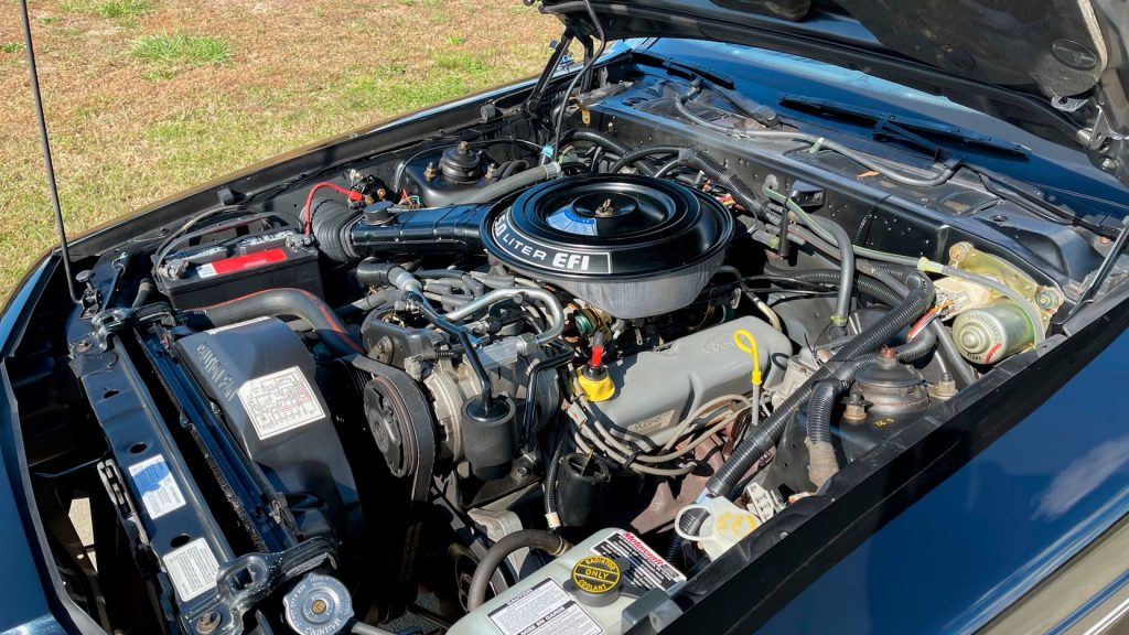 Travel Back To 1985 With This 6,200 Mile Ford Thunderbird | Carscoops