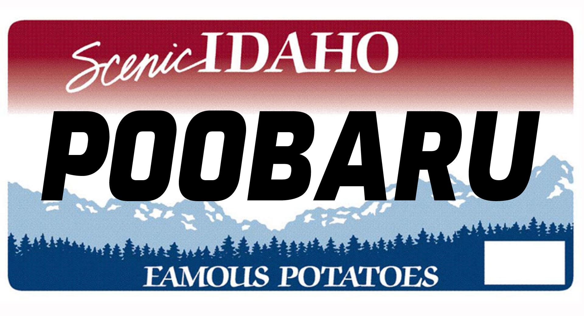 Idaho Rejected Over 250 Vanity Plates This Year, Including P00BARU ...