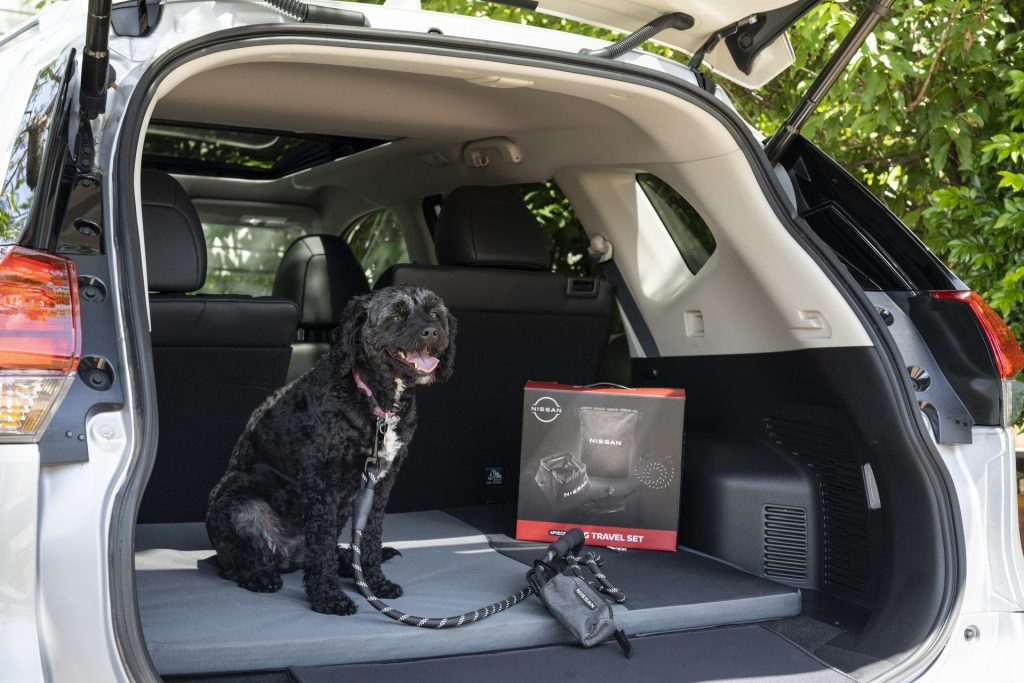 Nissan Australia Introduces Pet Accessories To Make Road Trips With ...