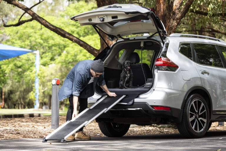 Nissan Australia Introduces Pet Accessories To Make Road Trips With ...