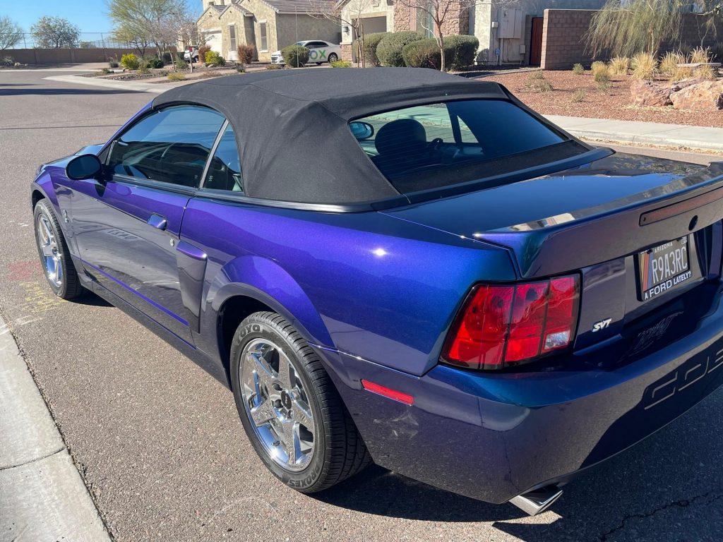 This Ford Mustang Terminator Cobra Is The Last Of Its Kind And ...