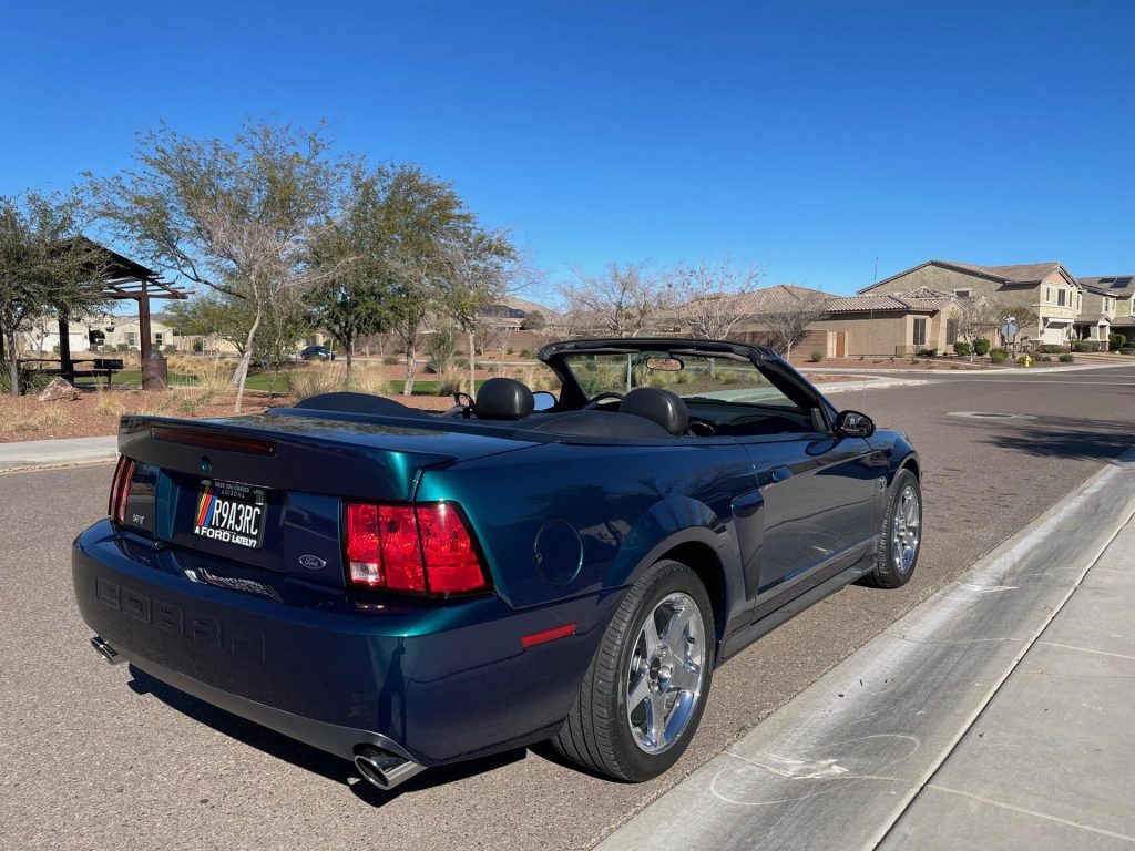 This Ford Mustang Terminator Cobra Is The Last Of Its Kind And ...
