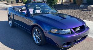 This Ford Mustang Terminator Cobra Is The Last Of Its Kind And ...