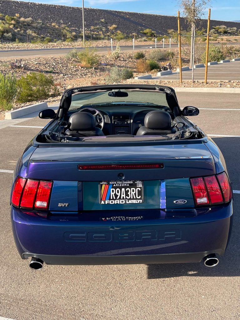 This Ford Mustang Terminator Cobra Is The Last Of Its Kind And ...