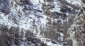 Alpine A4810 Is IED's Take For The Hydrogen-Powered Hypercar Of 2035 ...