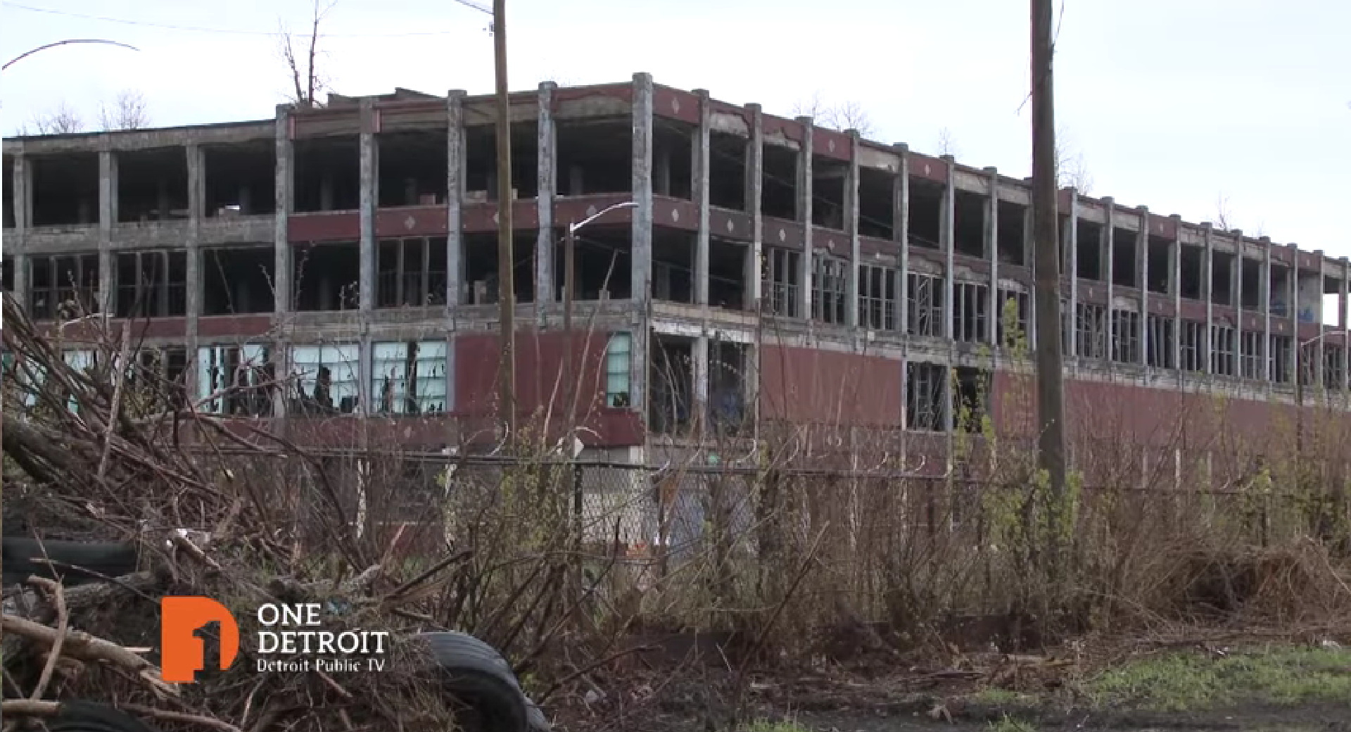 Judge Orders Most Of Historic Packard Plant Destroyed Following Legal ...