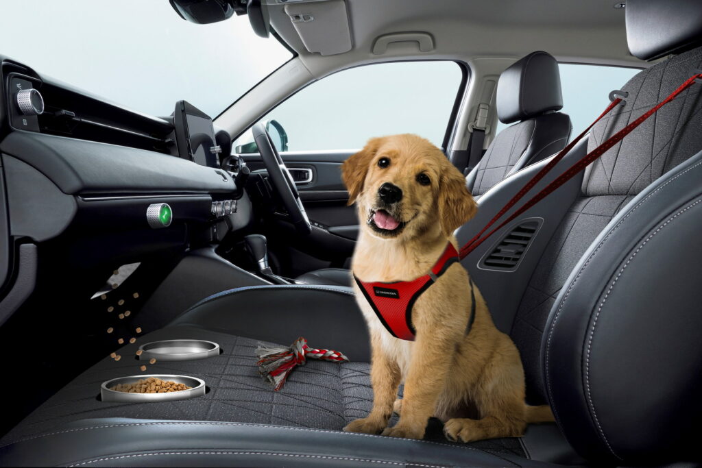 Inspired By An April Fools Post, Honda UK Offers Dog Accessories That ...