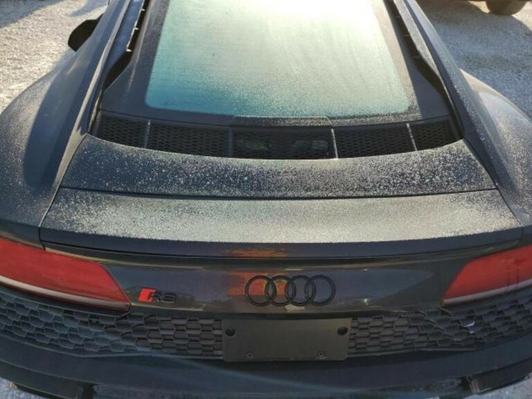 2021 Audi R8 That Fell Victim To Hurricane Ian Can’t Return To The ...