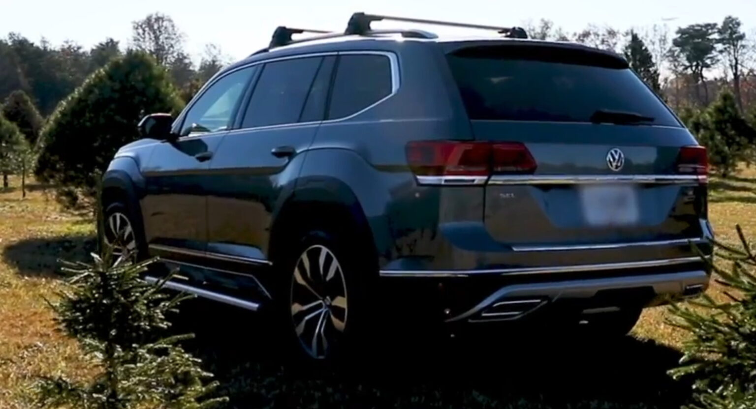 How To Properly Transport A Tree Home For The Holidays | Carscoops