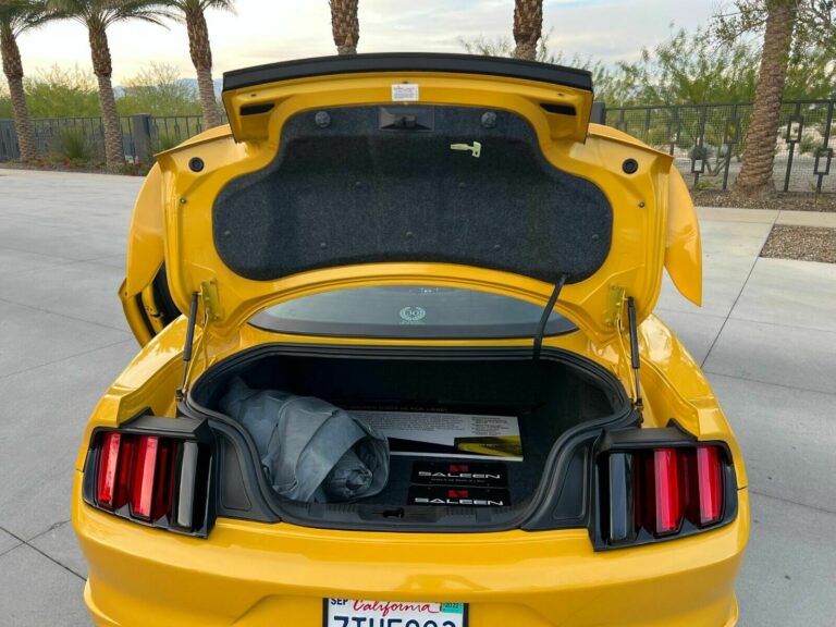This Ford Mustang Saleen 302 Black Label Makes 800 HP And Is The Only ...