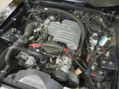 Ford Mustang-Based Python Is One Of Just 12 In Existence | Carscoops