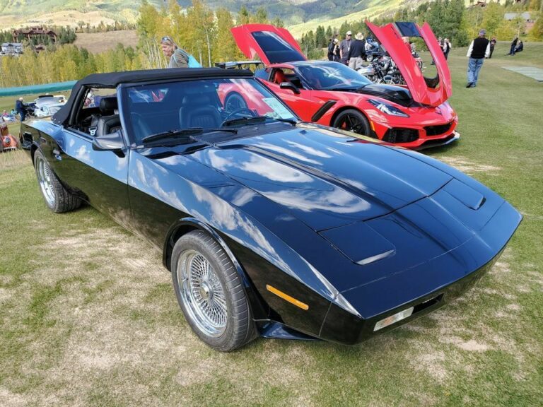 Ford Mustang-Based Python Is One Of Just 12 In Existence | Carscoops